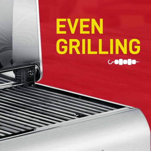 Portable Grill – Table Top Stainless Steel Propane Gas BBQ – Silver ...