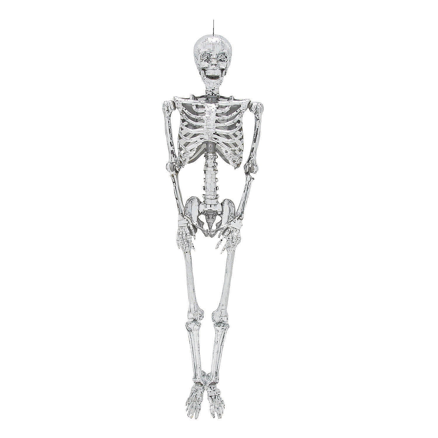 5 Ft Posable Skeletonnull